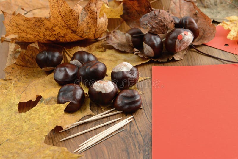 Thinker Chestnut Figures Like Turtle in Autumn Time with Thooth Stock ...