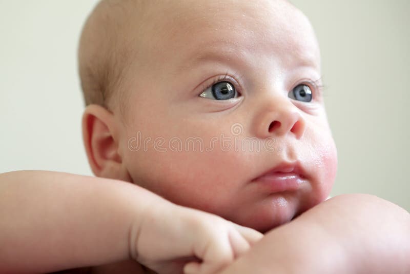 Thinking baby face stock image. Image of newborn, looking - 60289159