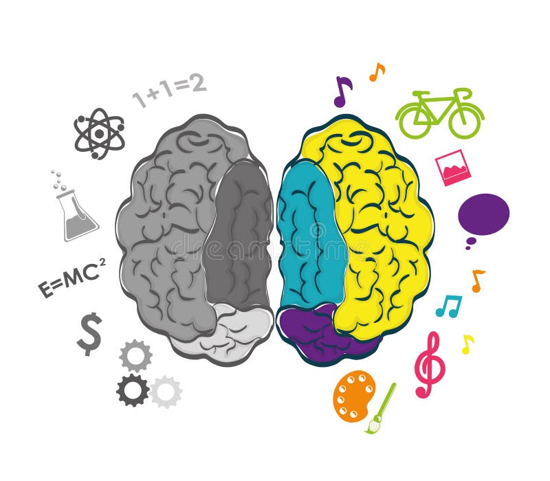 Thinking and brain design stock vector. Illustration of genius - 68586006