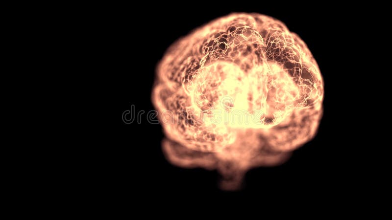 Close Up Video of Human Brain Looking To Be Formed of Spider Web ...