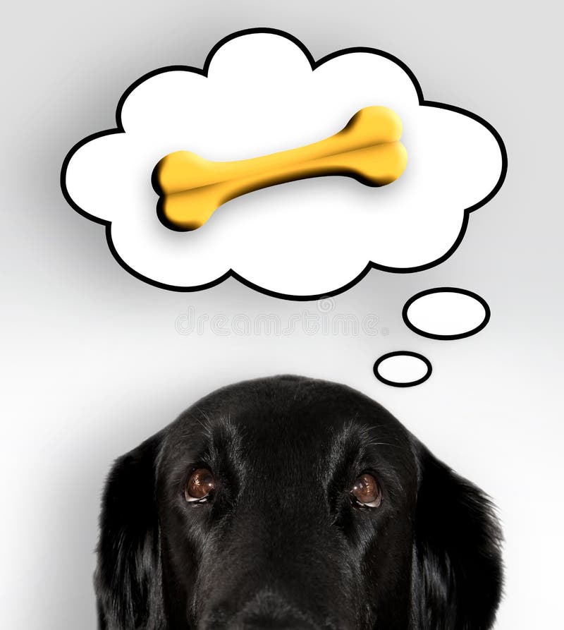 Cute Dog with Thought Bubble Thinking about a Bone Stock Image - Image ...
