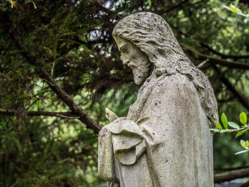 THINKING MAN stock photo. Image of classical, garden - 63225854