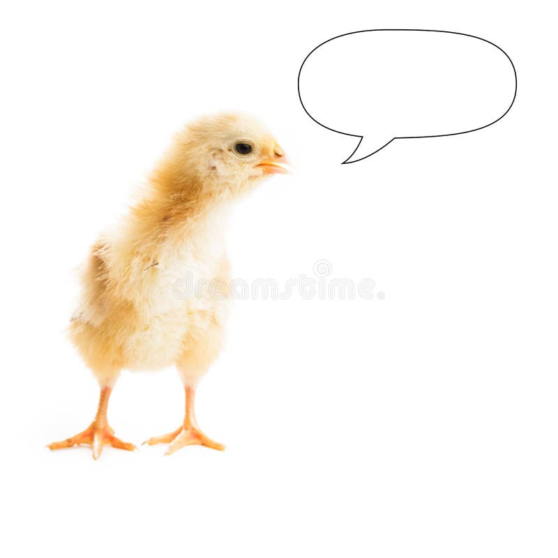 Chicken Little Speech Bubble Stock Photos - Free & Royalty-Free Stock ...