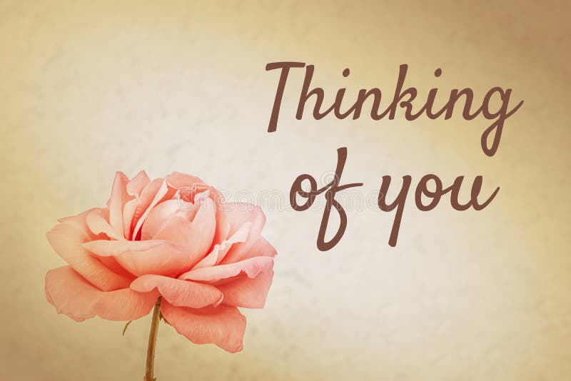 Thinking of You - Card. Pink Rose. Stock Photo - Image of design, happy ...
