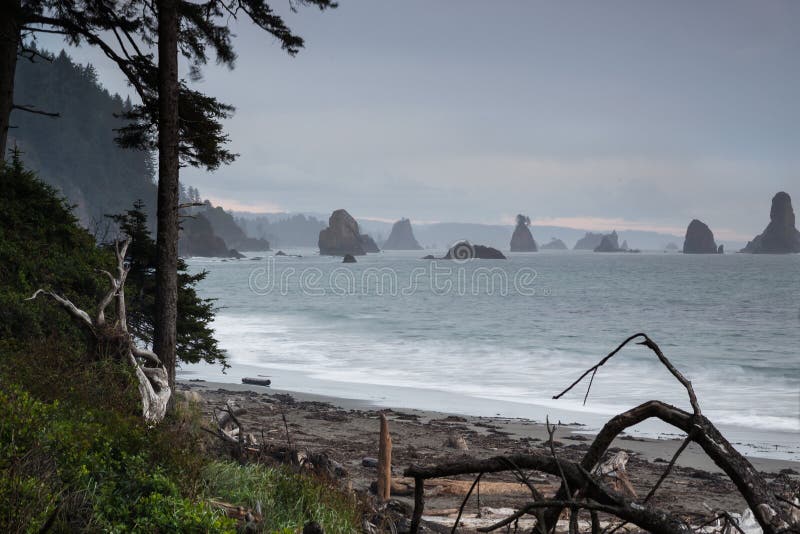 Third Beach at La Push, Washington Stock Photo - Image of outdoor ...