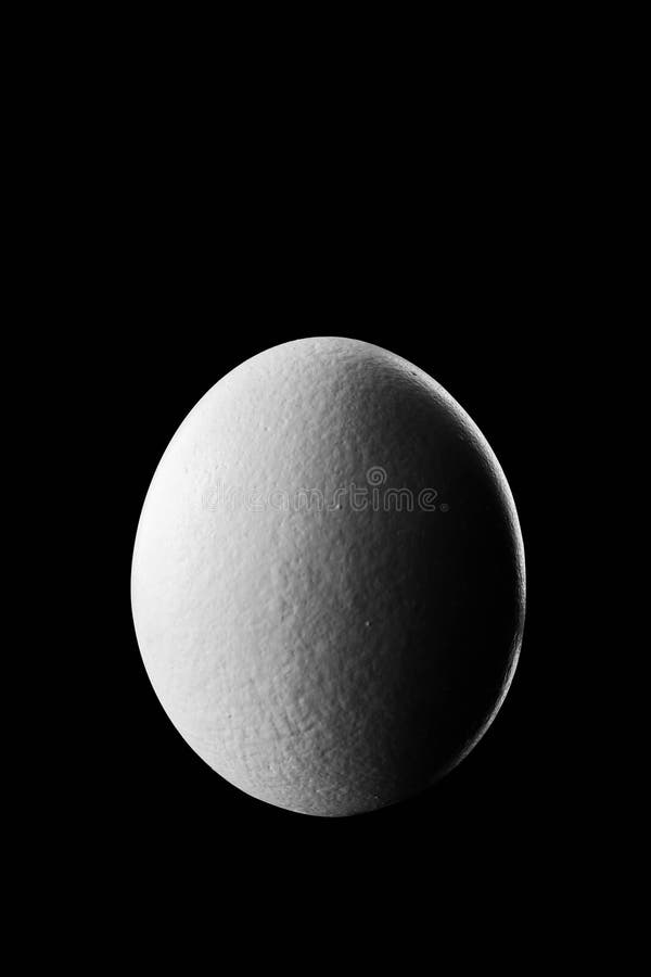 Third Quarter Moon Phase Show by Egg in Night with Shadow Planet Stock ...