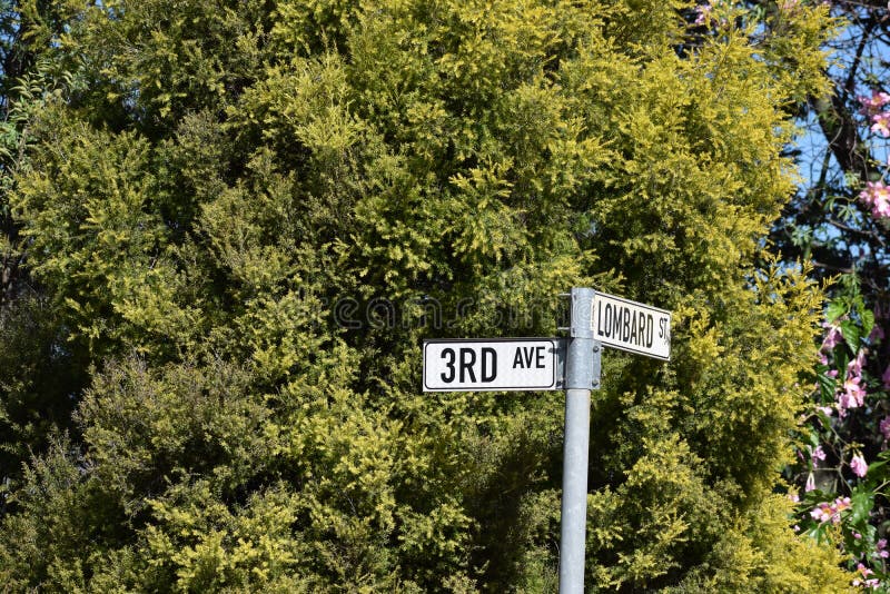 3rd Ave Street Name Sign stock photo. Image of information - 188569876