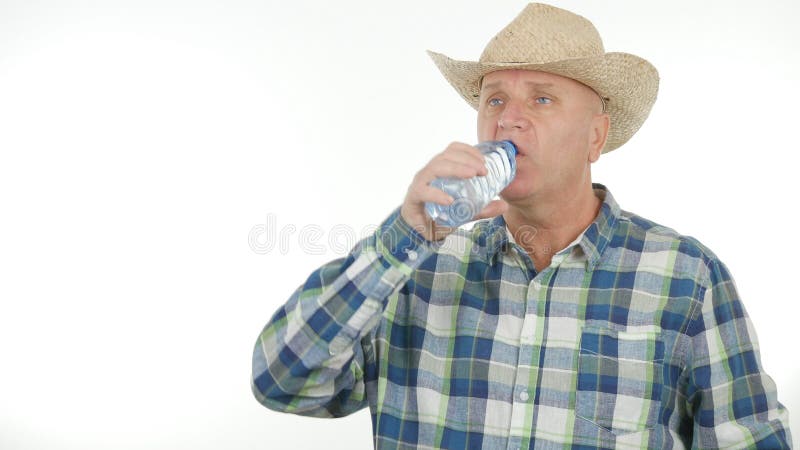 Thirsty Farmer Drinking Water from a Bottle Stock Photo - Image of ...