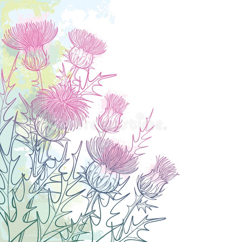 Thistle Outline Stock Illustrations – 482 Thistle Outline Stock ...