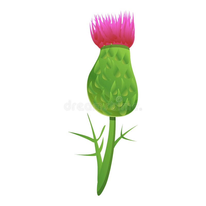Thistle Cartoon Stock Illustrations – 559 Thistle Cartoon Stock ...
