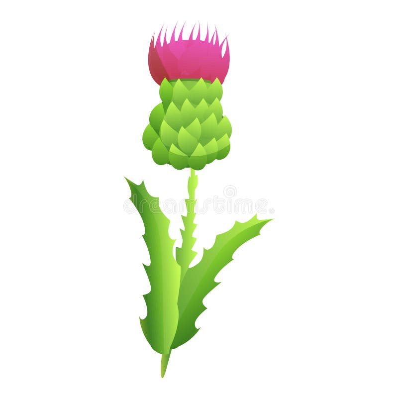 Thistle Cartoon Stock Illustrations – 559 Thistle Cartoon Stock ...