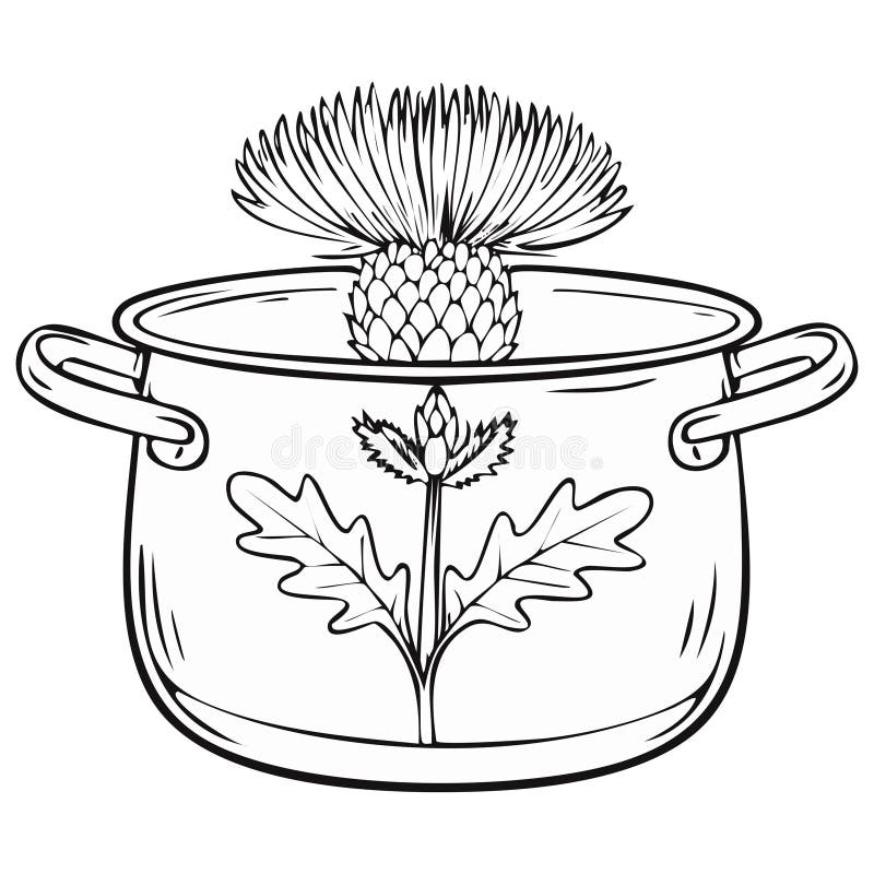 Thistle Flower in a Pot Isolated Black and White Outline Vector ...