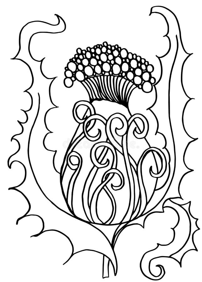 Drawing Line Thistle Stock Illustrations – 313 Drawing Line Thistle ...