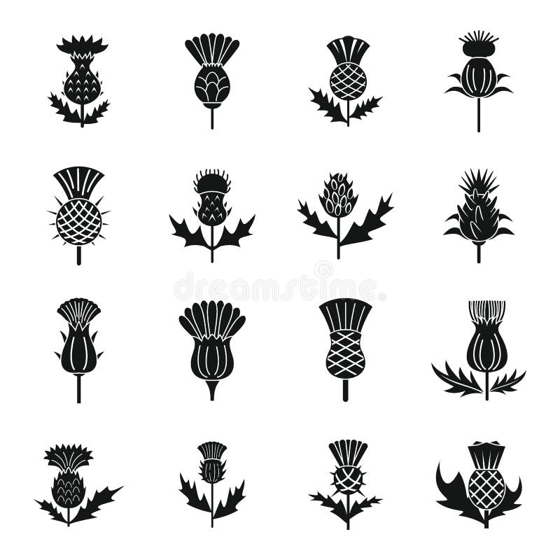 Thistle Icons Set Simple Vector. Scottish Flower Stock Vector ... Thistle Icons Set Simple Vector. Scottish Flower Stock Vector ...