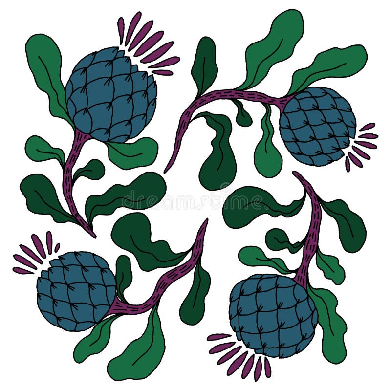 Vector Ornament Decorative Thistle Stock Vector - Illustration of ...