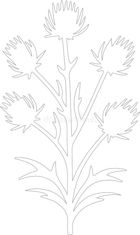 Thistle Outline Silhouette Generative Ai Stock Vector - Illustration of ...