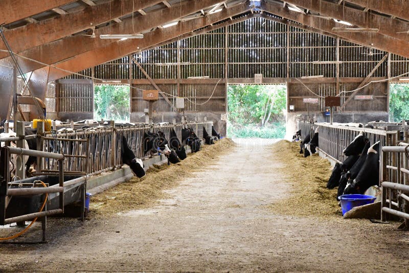 Thiverval Grignon, France - August 13 2016 : Agroparistech Farm ...