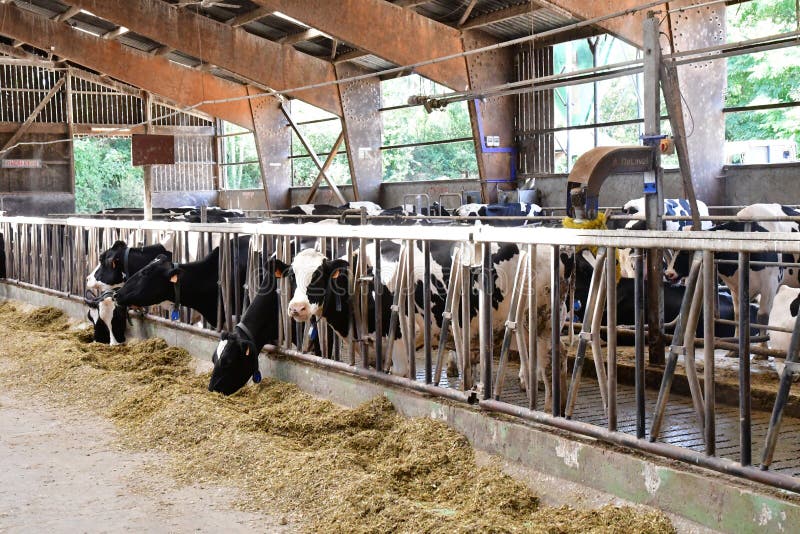 Thiverval Grignon, France - August 13 2016 : Agroparistech Farm ...
