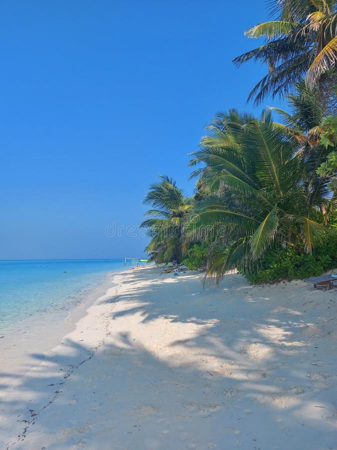 Thoddoo island, Maldives stock image. Image of tropics - 303509701