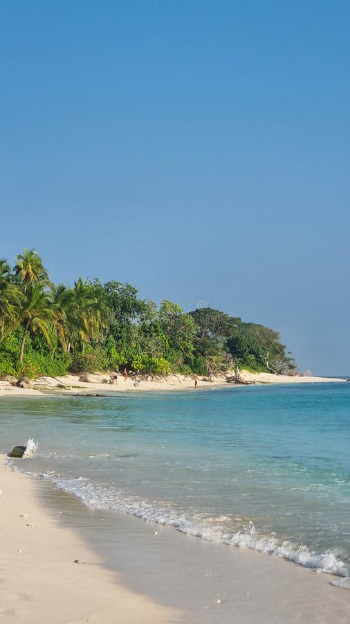 Thoddu Beach in Thoddoo, Maldives Stock Image - Image of beach ...