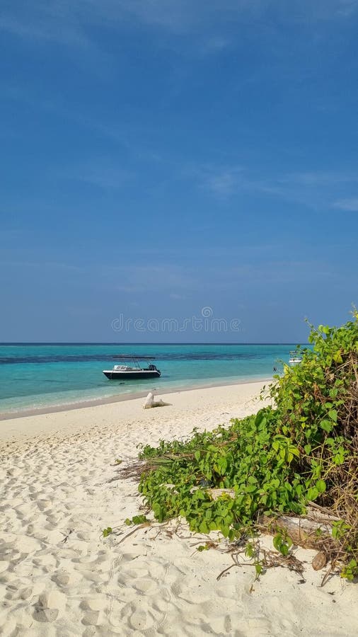 Thoddu Beach in Thoddoo, Maldives Stock Photo - Image of shore, water ...
