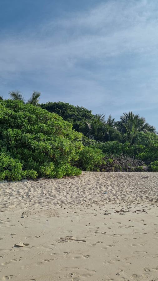 Thoddu Beach in Thoddoo, Maldives Stock Photo - Image of water ...