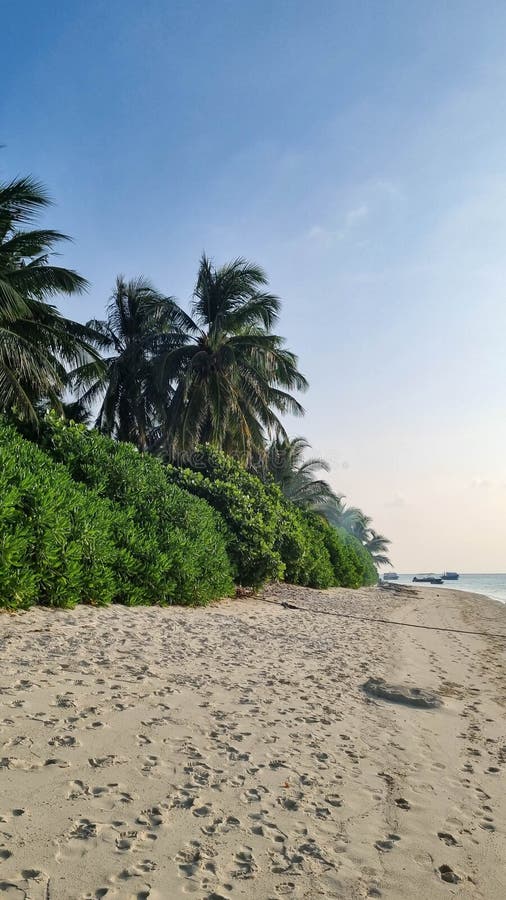 Thoddu Beach in Thoddoo, Maldives Stock Image - Image of paradise ...