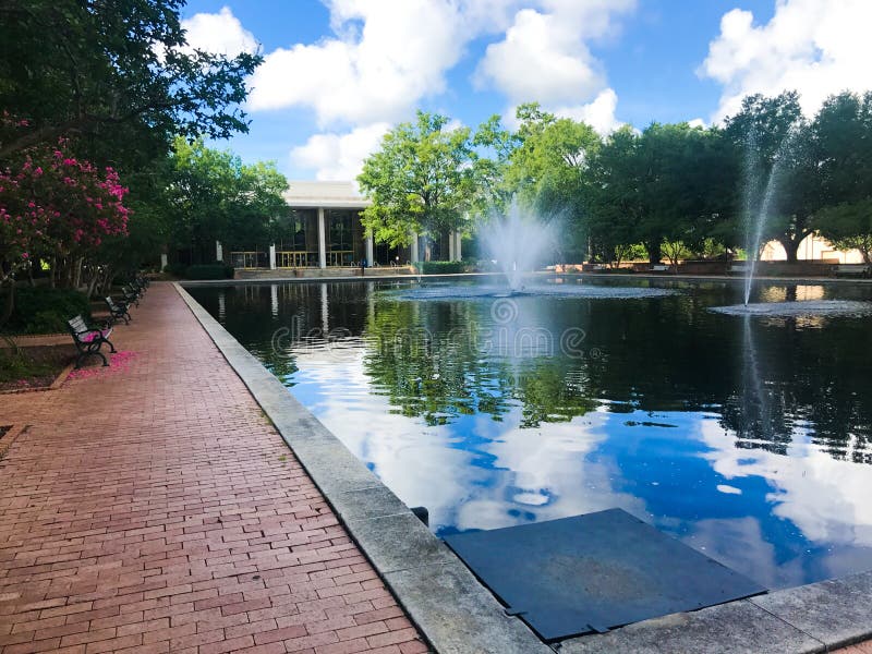 Thomas Cooper Library foto editorial. Imagen de bobalicona - 120353871