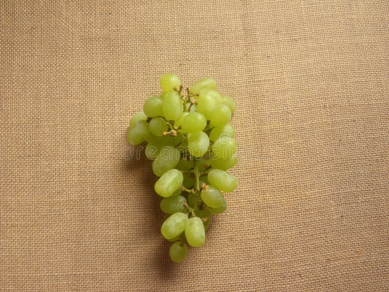 Thompson grapes stock photo. Image of diet, yellow, cluster - 174940960