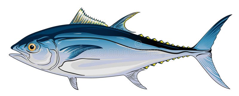 Thon de thonine illustration stock. Illustration du durée - 14394742
