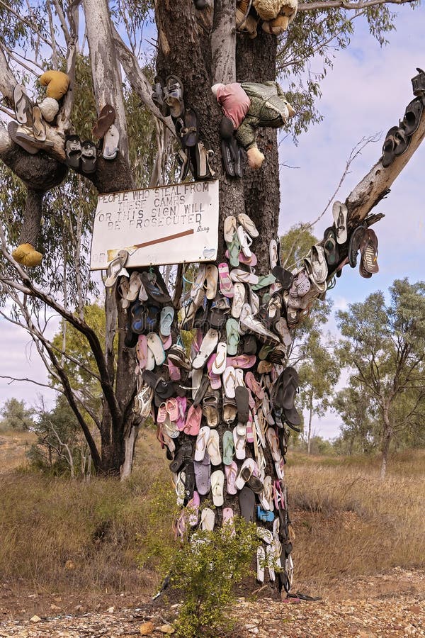 The Thong Tree Rubyvale Gemfields Australia Editorial Stock Image ...