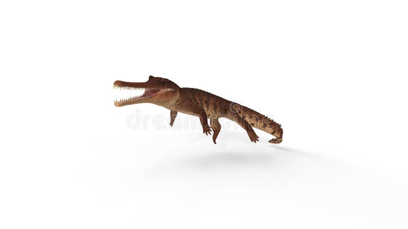 Thoracosaurus on White Background Stock Video - Video of model, green ...