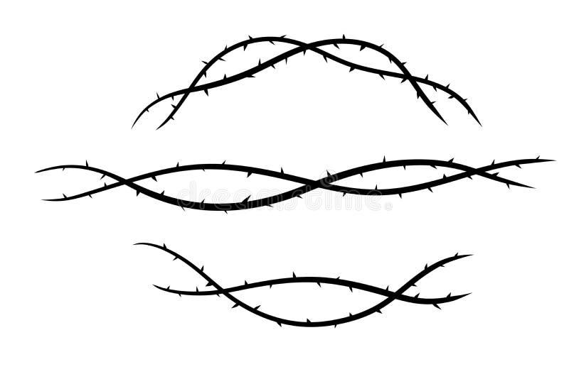 Thorn Branch or Vine. Natural Intertwined Pattern Stock Vector ...
