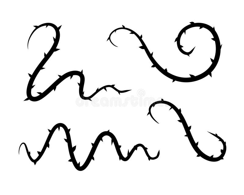 Thorn Branch or Vine. Natural Intertwined Pattern Stock Illustration ...