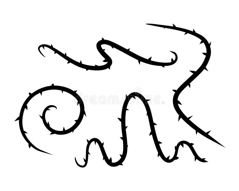 Thorn Branch or Vine. Element of Tattoo Stock Vector - Illustration of ...