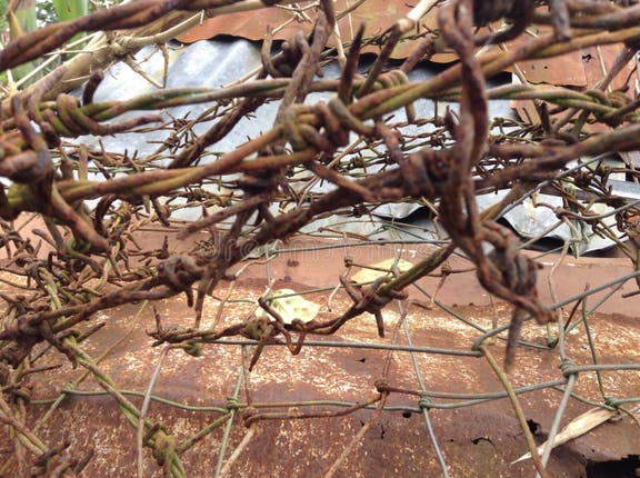 Thorns editorial photo. Image of danger, thorns, metal - 48720861