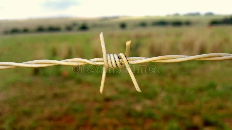 Thorny Fence with Shining Sun. Deppressive and Optimistic Image As Well ...