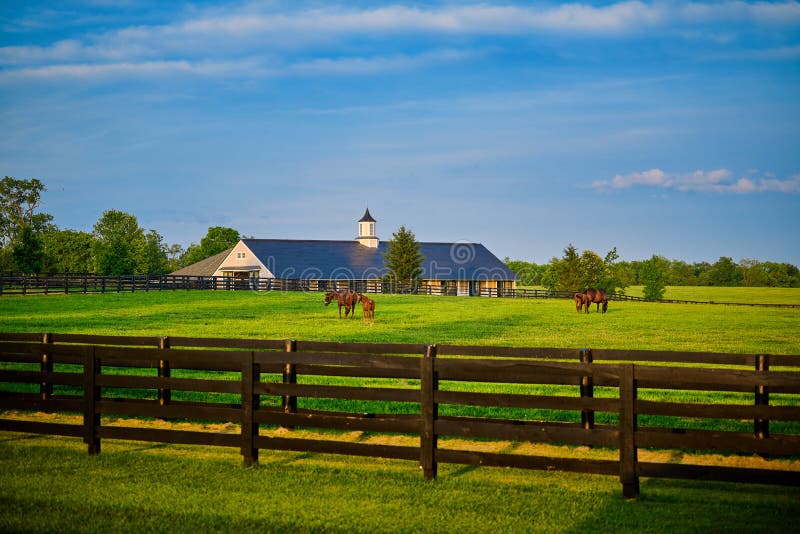 2,177 Field Barn Horses Background Stock Photos - Free & Royalty-Free ...