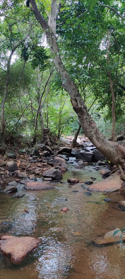 Thottikallu Falls & X28;TK Falls& X29; Water Stream Stock Photo - Image ...