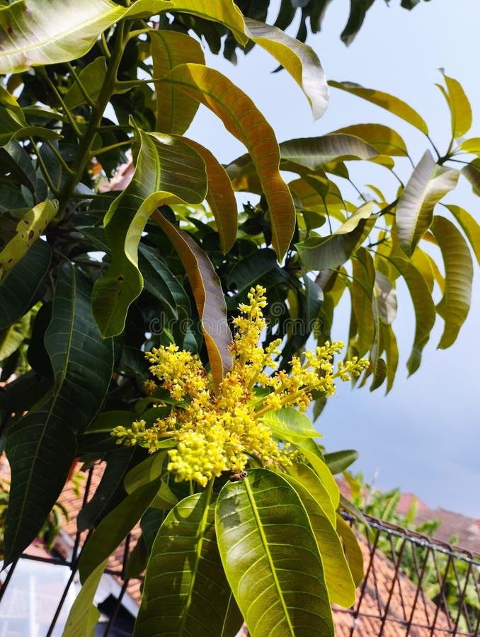 Hight Return Stock Photos - Free & Royalty-Free Stock Photos from Dreamstime