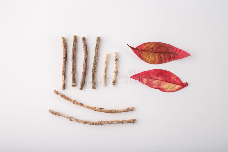 A Thoughtful Arrangement of Natural Objects on White Background. Eight ...