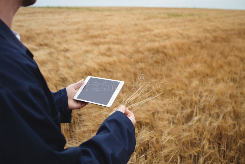Thoughtful Farmer Standing with Arms Crossed in the Field Stock Image ...
