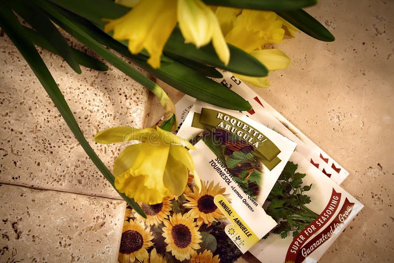 Thoughts of spring stock photo. Image of horticulture, april - 655528