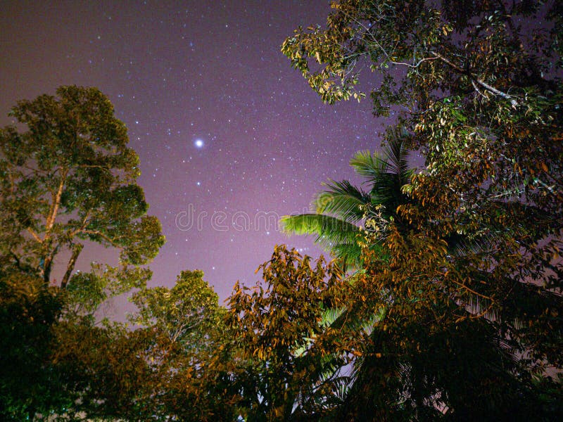 A Thousand Stars in the Sky Stock Image - Image of night, stars: 313463259