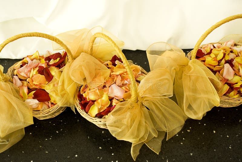 Fresh Rose stock image. Image of roses, southern, flower - 80677867