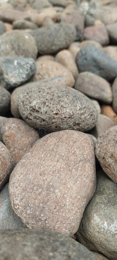 Thousands of River Stone Stretches of Various Shapes and Sizes Stock ...