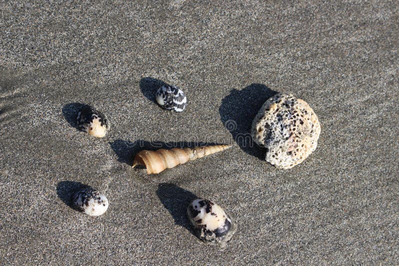 Sea Probal Stock Photos - Free & Royalty-Free Stock Photos from Dreamstime