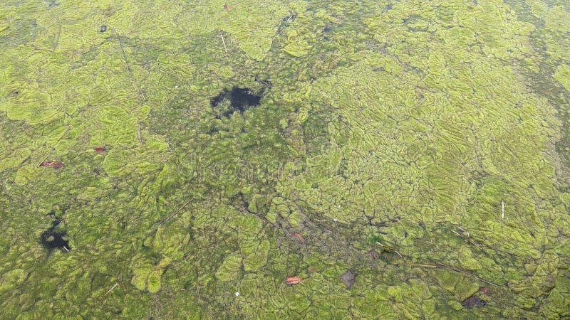 Floating Threads Stock Photos - Free & Royalty-Free Stock Photos from ...