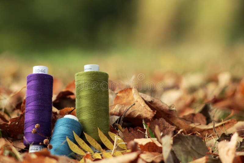 Thread Spools Arranged in Autumn Leaves Stock Photo - Image of backdrop ...