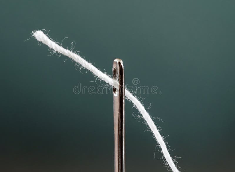 Thread White is Threaded through Eye of Needle, Close-up Macro View ...